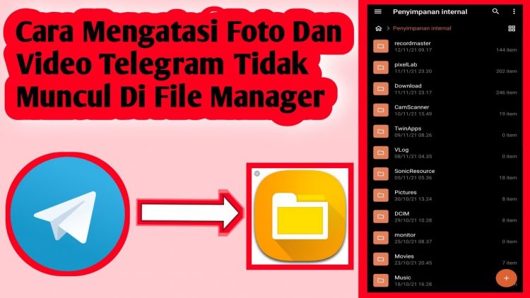 Mengatasi Video Telegram yang Tidak Tersimpan di File Manager